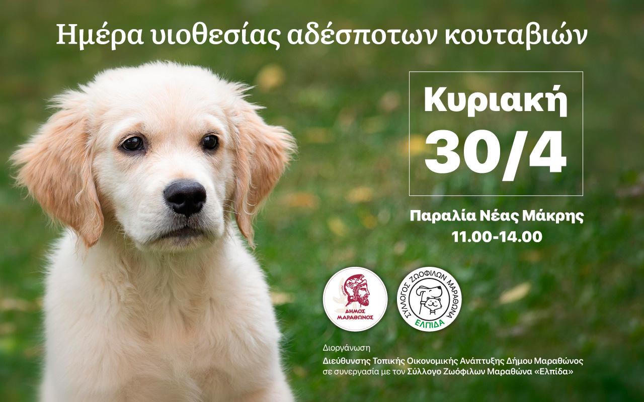 Ημέρα Υιοθεσίας Αδέσποτων την Κυριακή στην παραλία Νέας Μάκρης ...